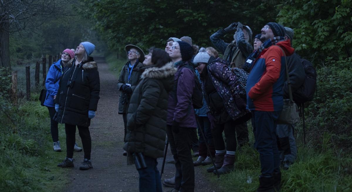 Dawn Chorus Guided walk at RSPB Arne - Visit Dorset