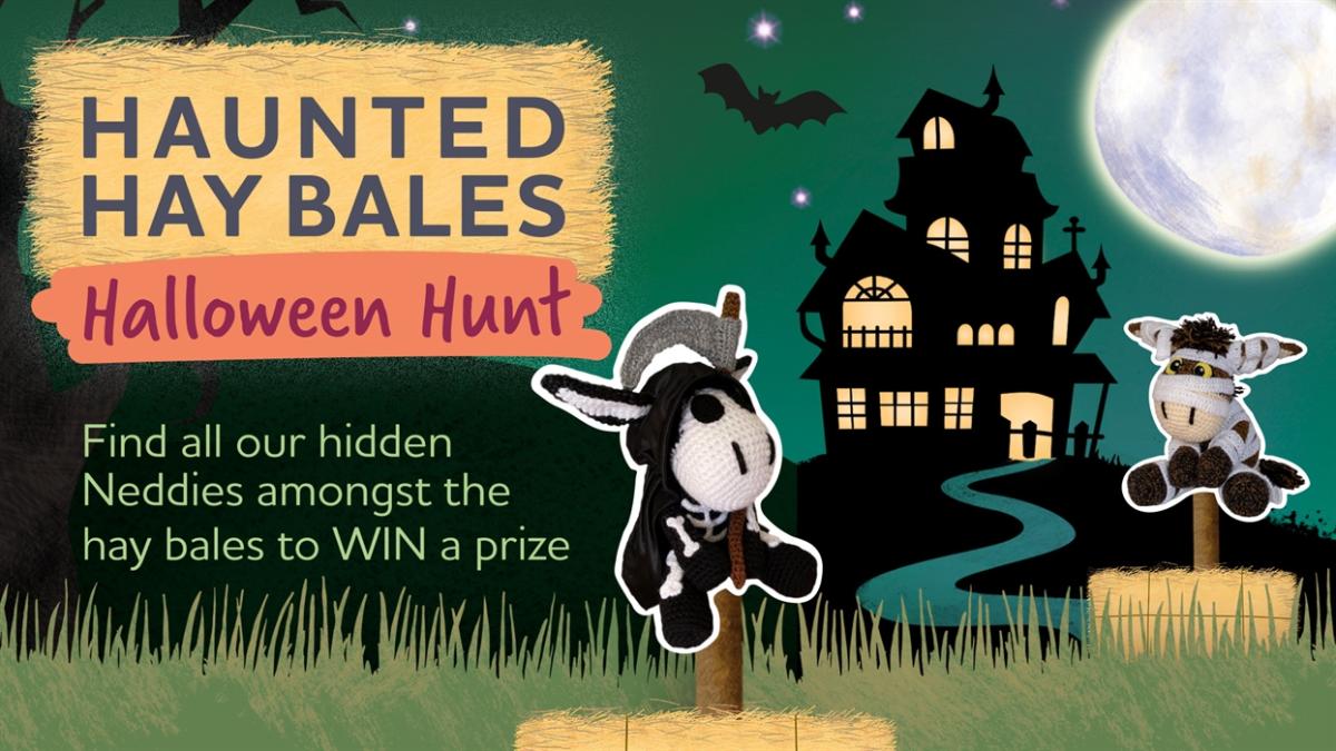Haunted Hay Bales Halloween Hunt - Visit Devon