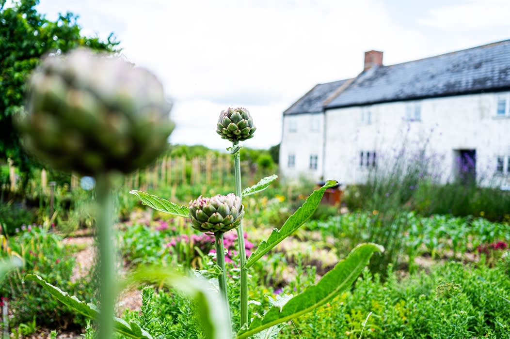 Easter at River Cottage - Visit Devon