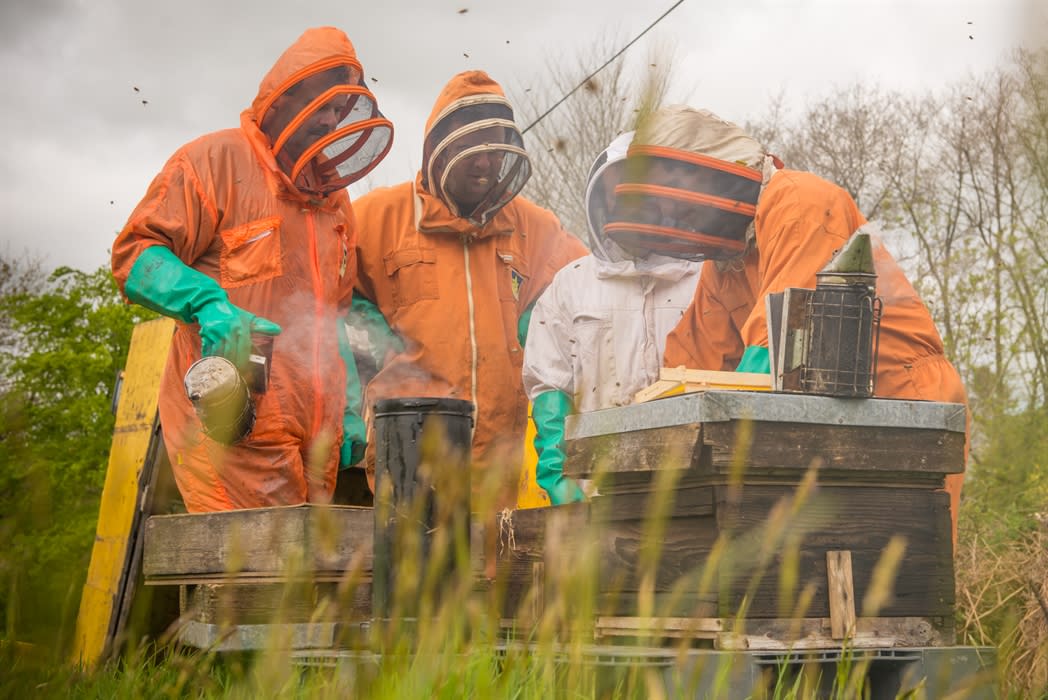 Beekeeping Experience Days - Visit Devon