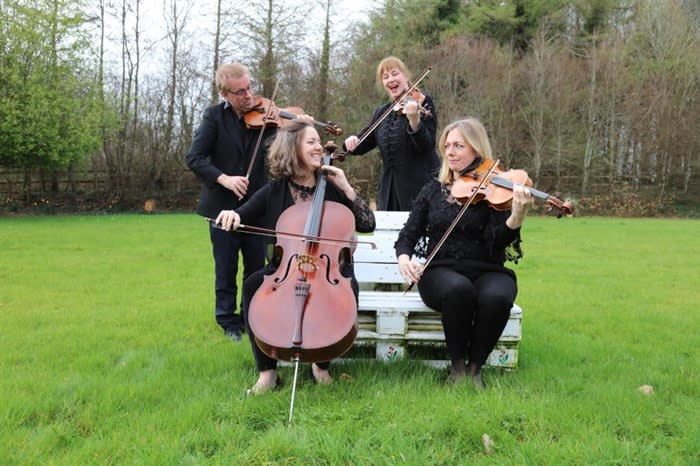 Callino String Quartet - Visit Devon