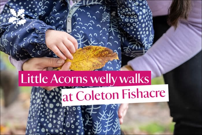 Little Acorn welly walks at Coleton Fishacre - Visit Devon