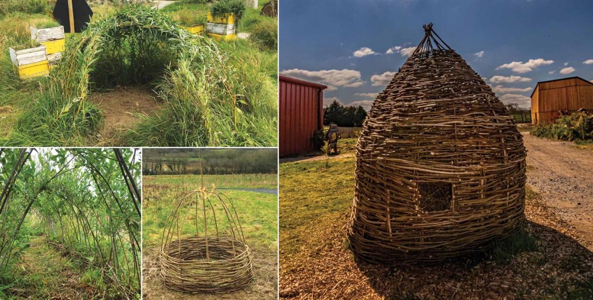 Living Willow Workshop - Visit Devon