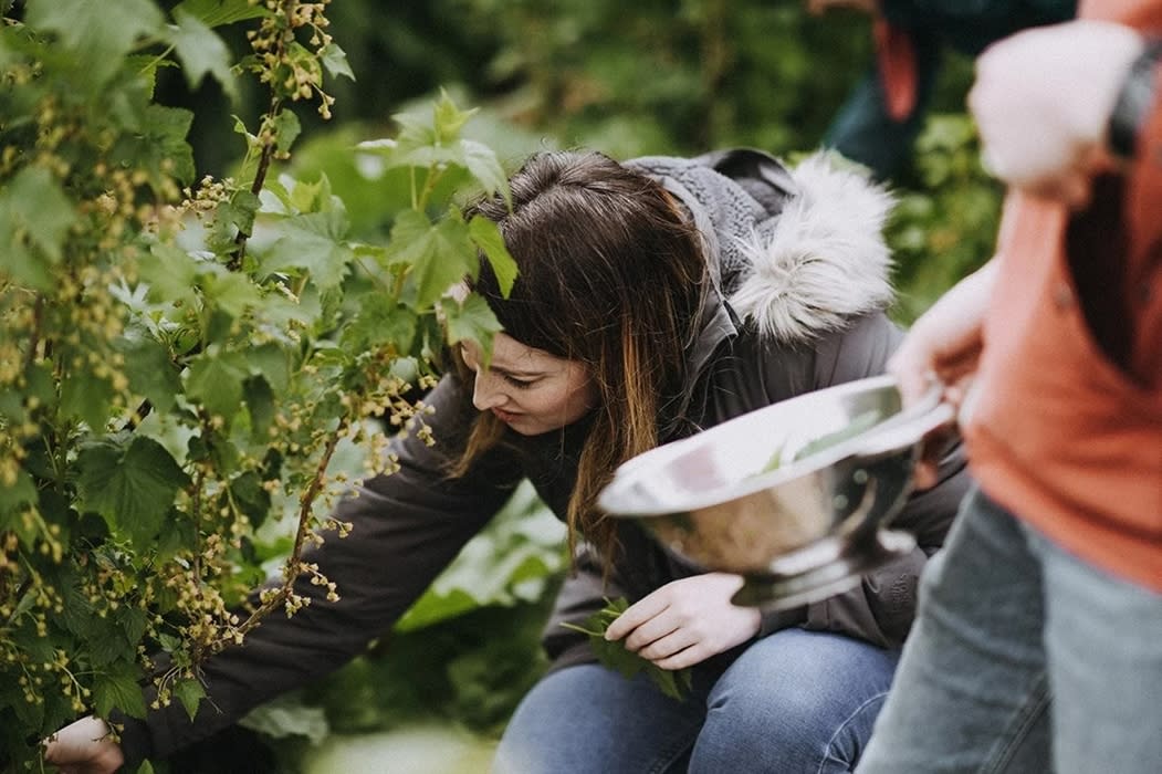 Wild Food Foraging & Cooking Course - Lyme Regis
