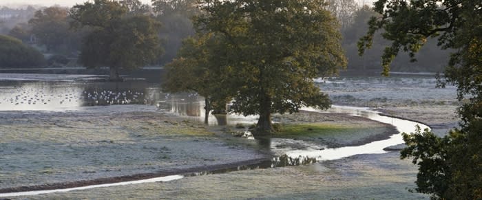 Matford Marsh