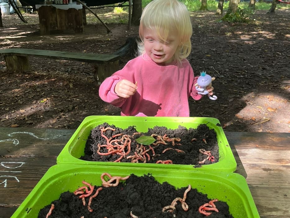 Minibeast Picnic - Cotswolds