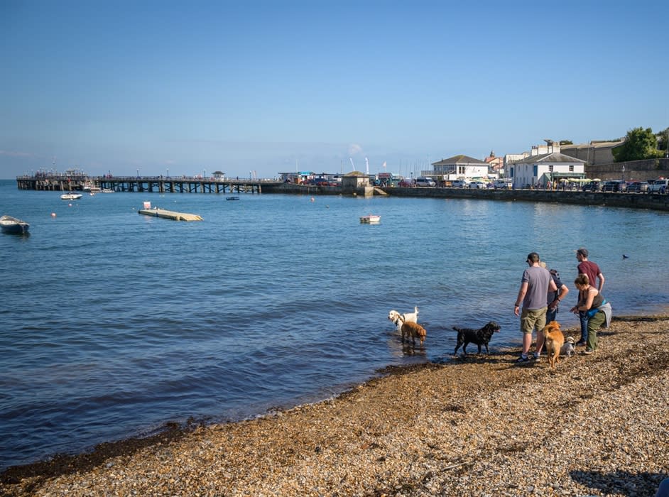 Monkey Beach - Swanage