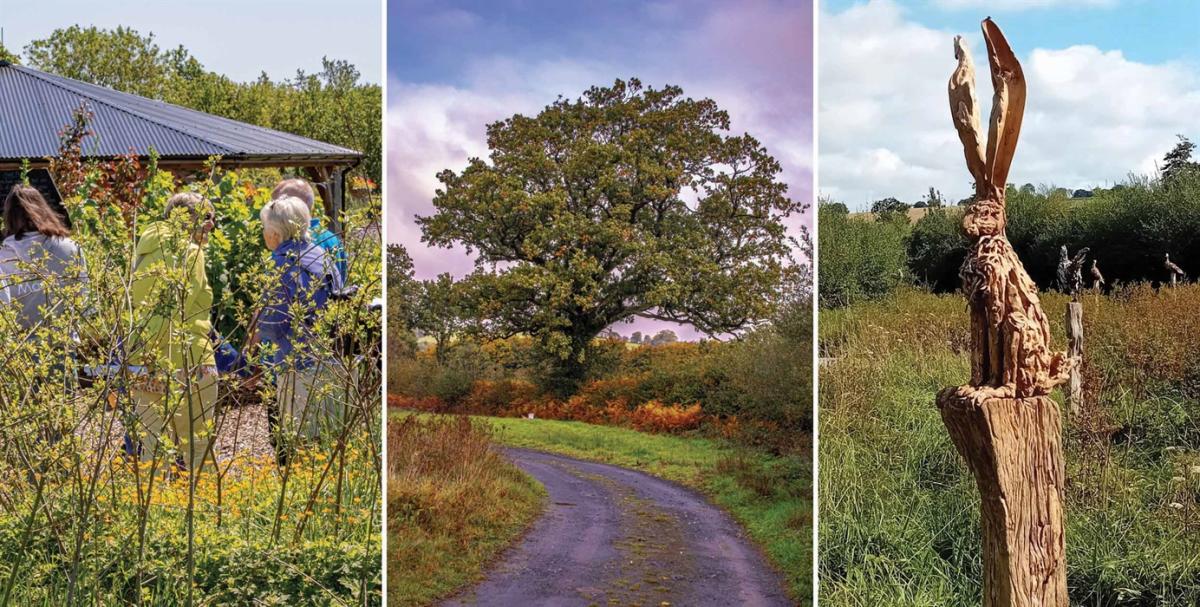 Nature Walk - Visit Devon