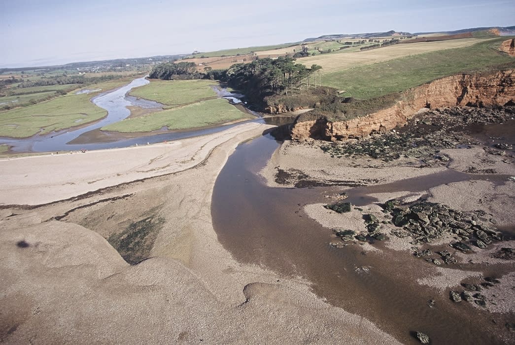 Otter Estuary Nature Reserve