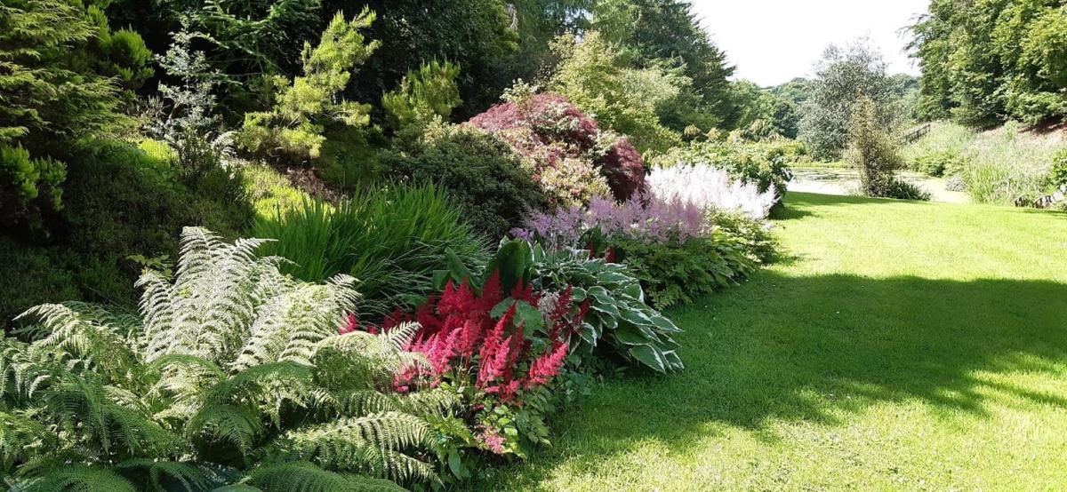 WEST ANSTEY OPEN GARDENS - Visit Devon