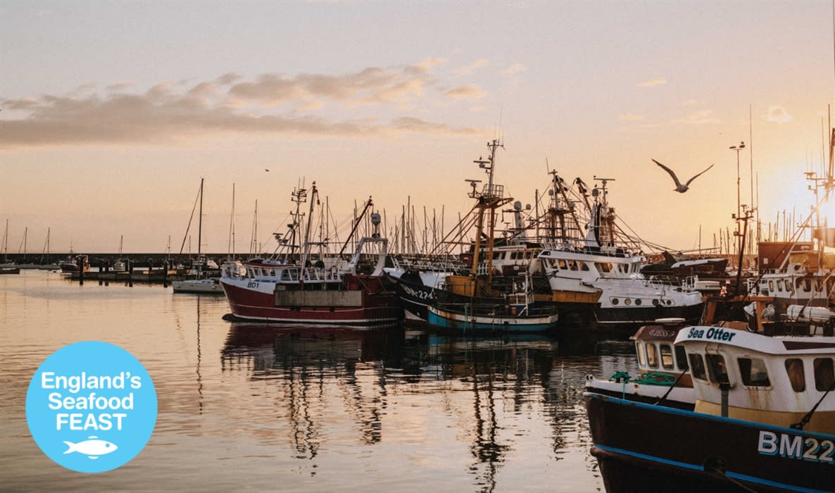 England's Seafood FEAST - Visit Devon