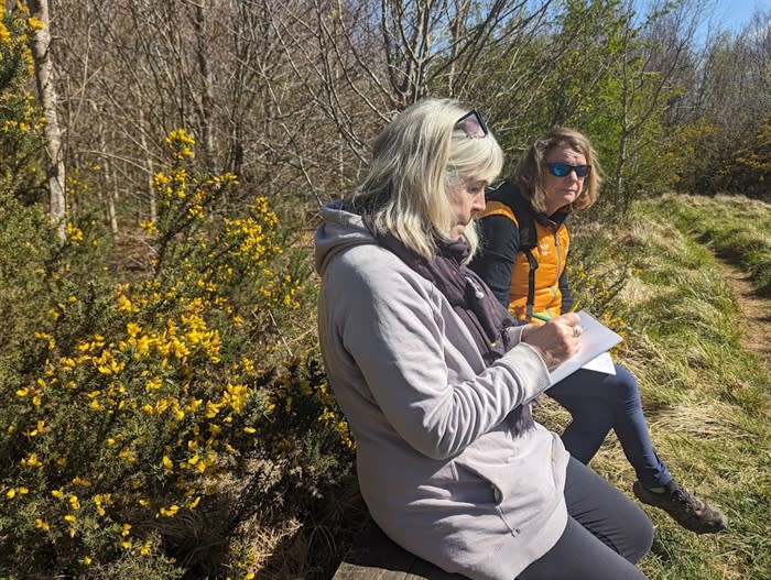 Nature Journaling - Cotswolds