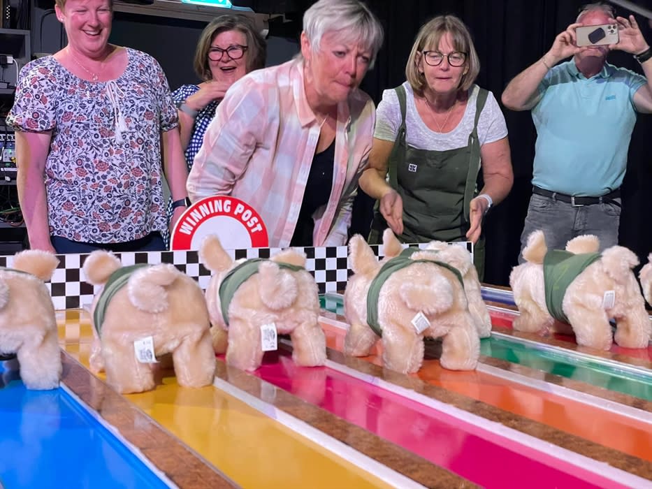 Pig Racing - Visit Devon