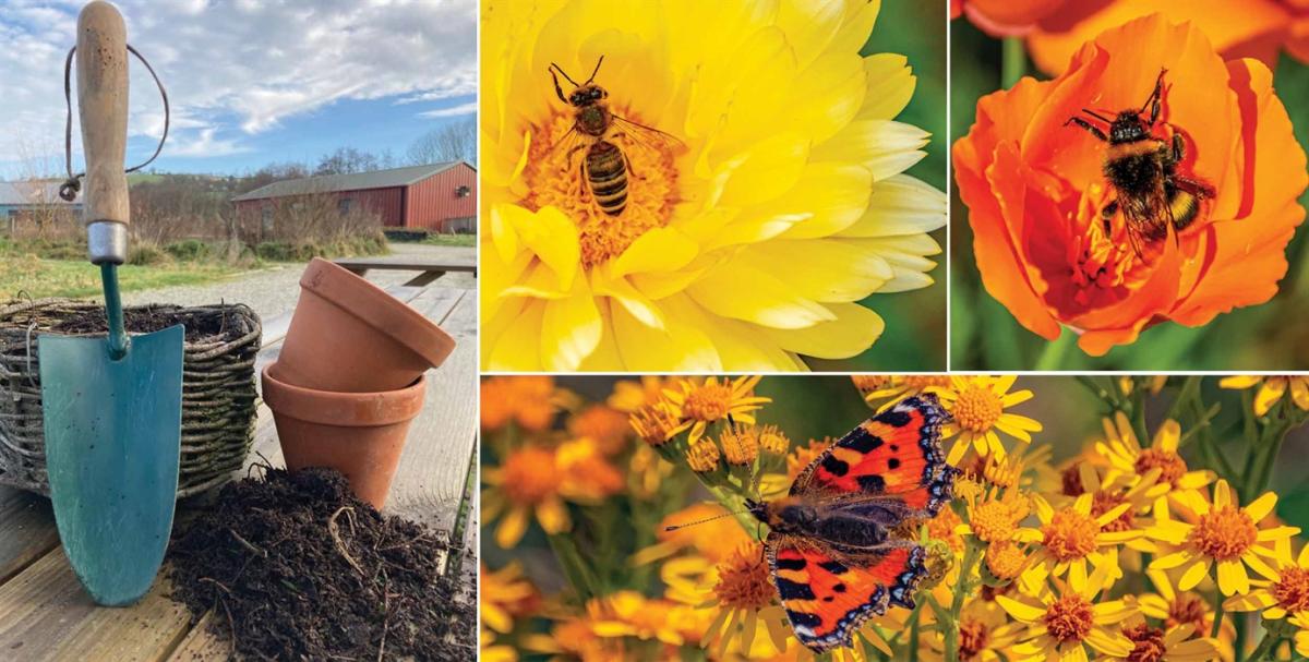 Planting for Pollinators Workshop - Visit Devon