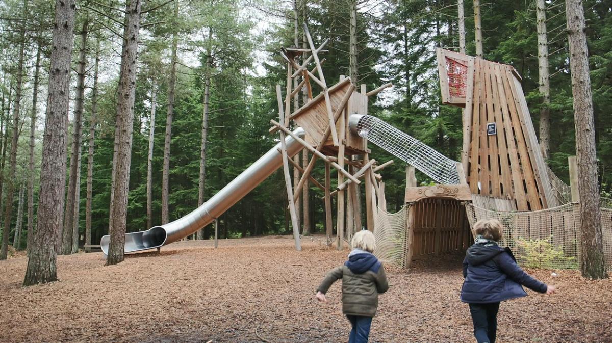 Moors Valley Country Park and Forest - Visit Dorset