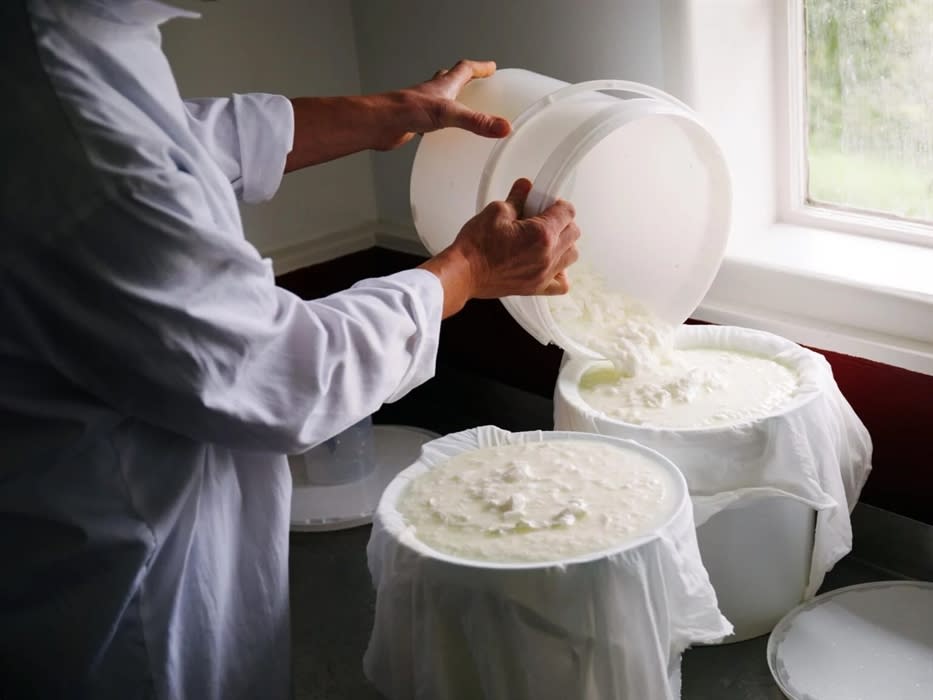 Cheese Making Course for Beginners - Visit Devon