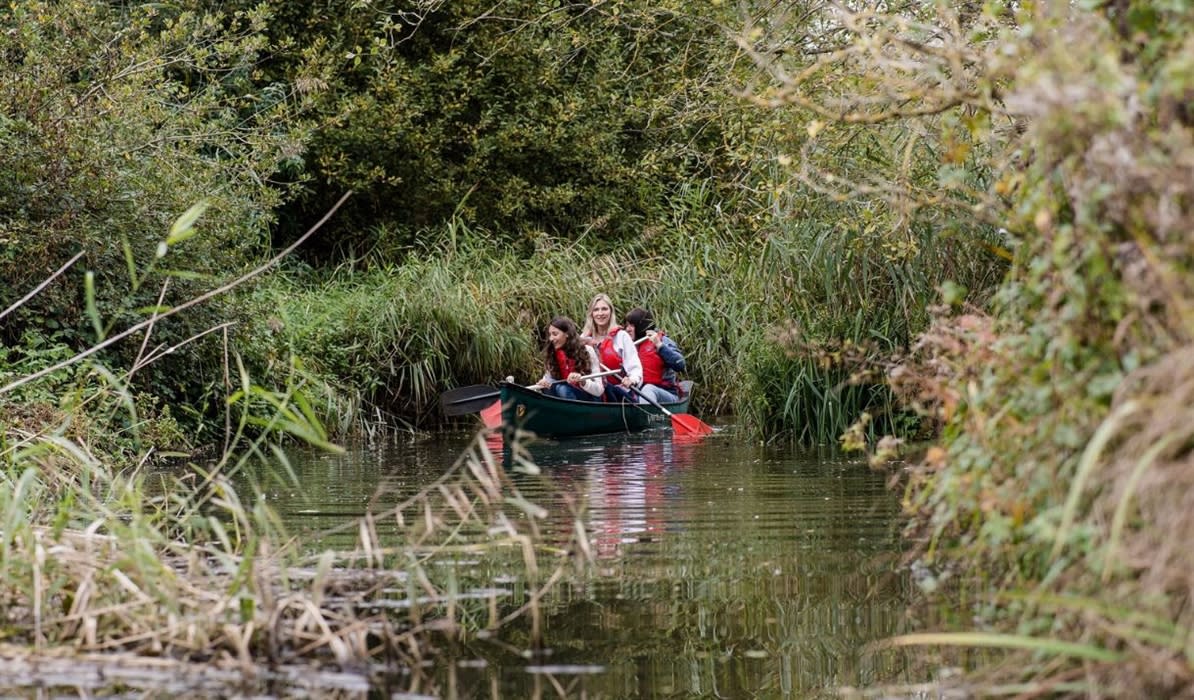 WWT Slimbridge Wetland Centre