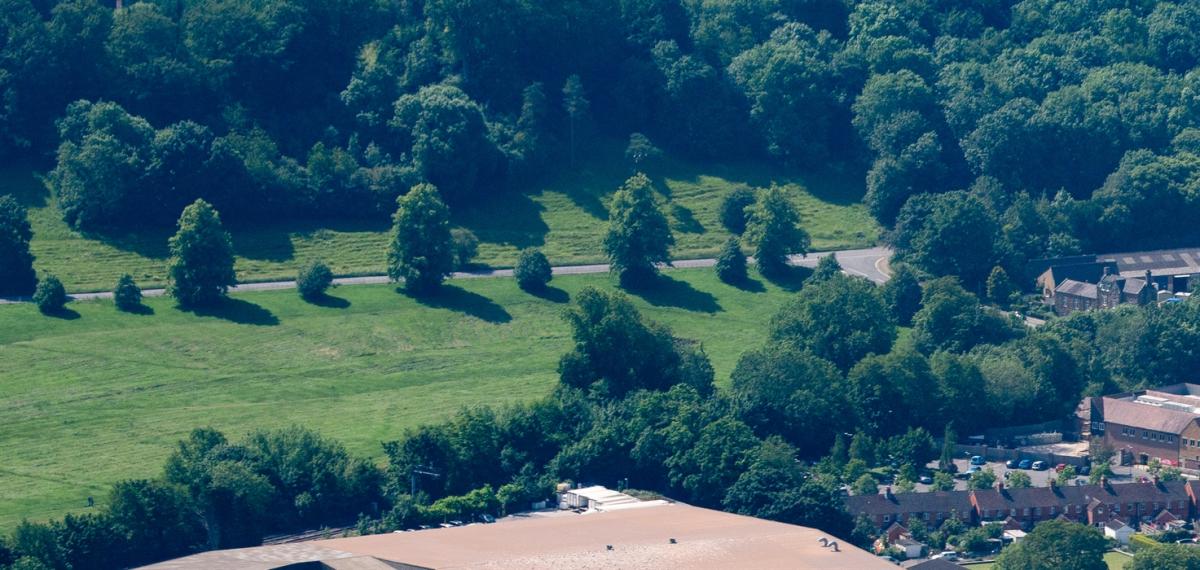 Purlieu Meadow - Sherborne