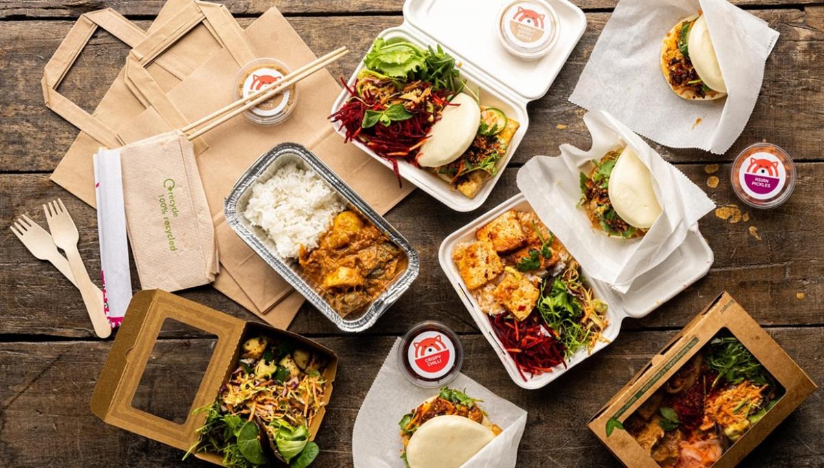 Red Panda - Visit Dorset