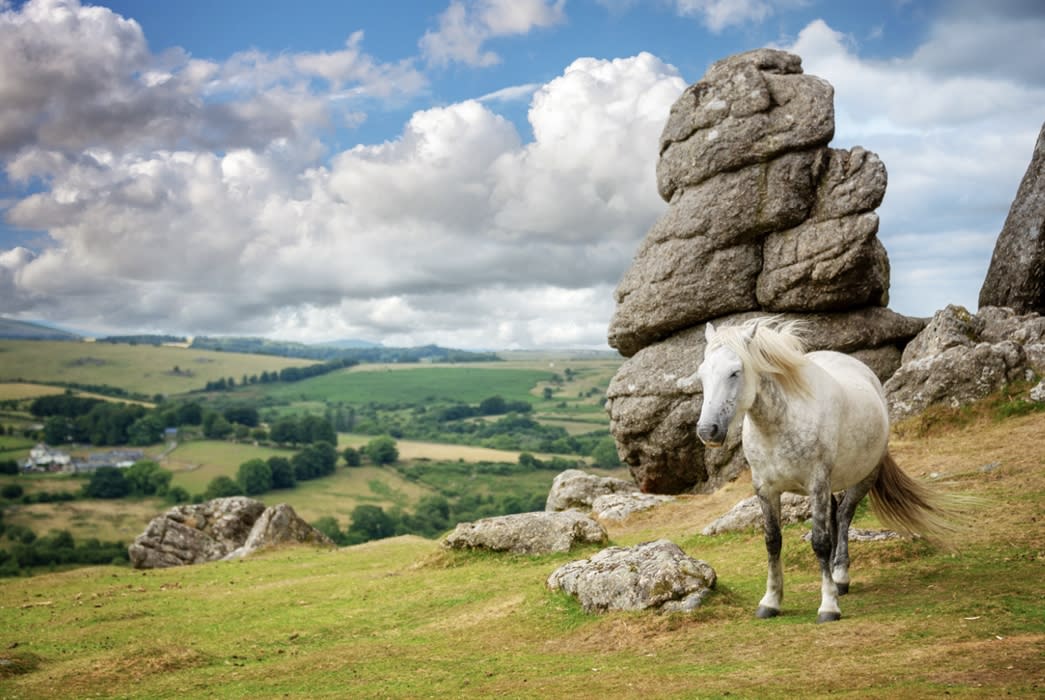 Saddle Tor