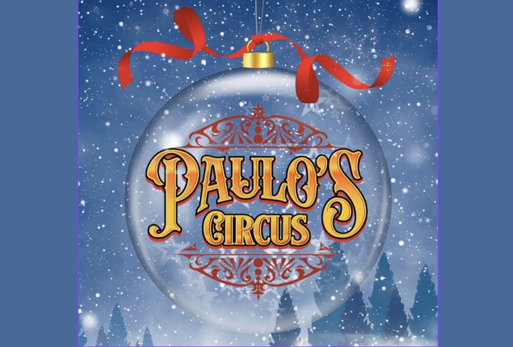 Paulos Circus Christmas Bonanza - Visit Devon