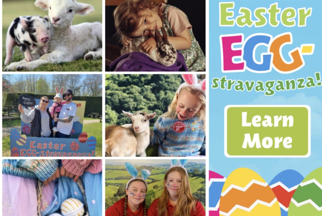 Easter Egg-Stravaganza at Pennywell Farm! - Visit Devon