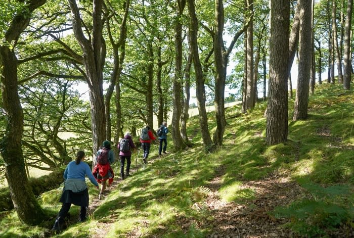 North Devon walking festival - Visit Devon