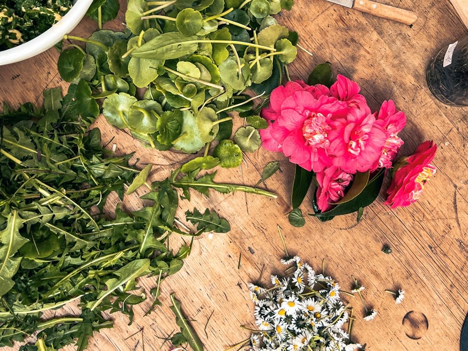 Wild Food Forage and Feast – Spring Family Forage - Visit Devon