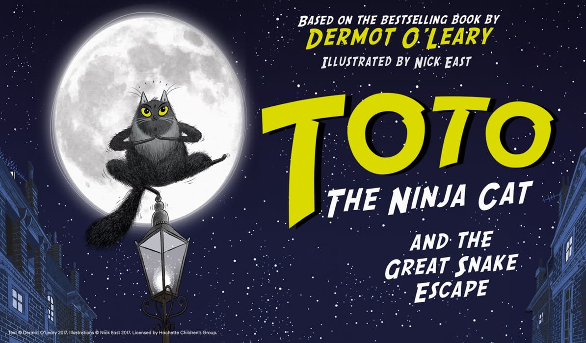 Toto the Ninja Cat at Redgrave Theatre
