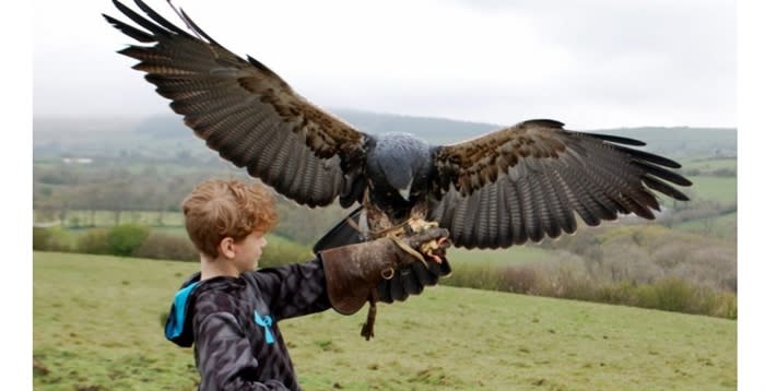 Walk With Hawks (Trade)