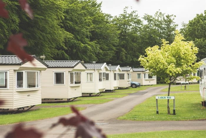 Forest Glade Holiday Park