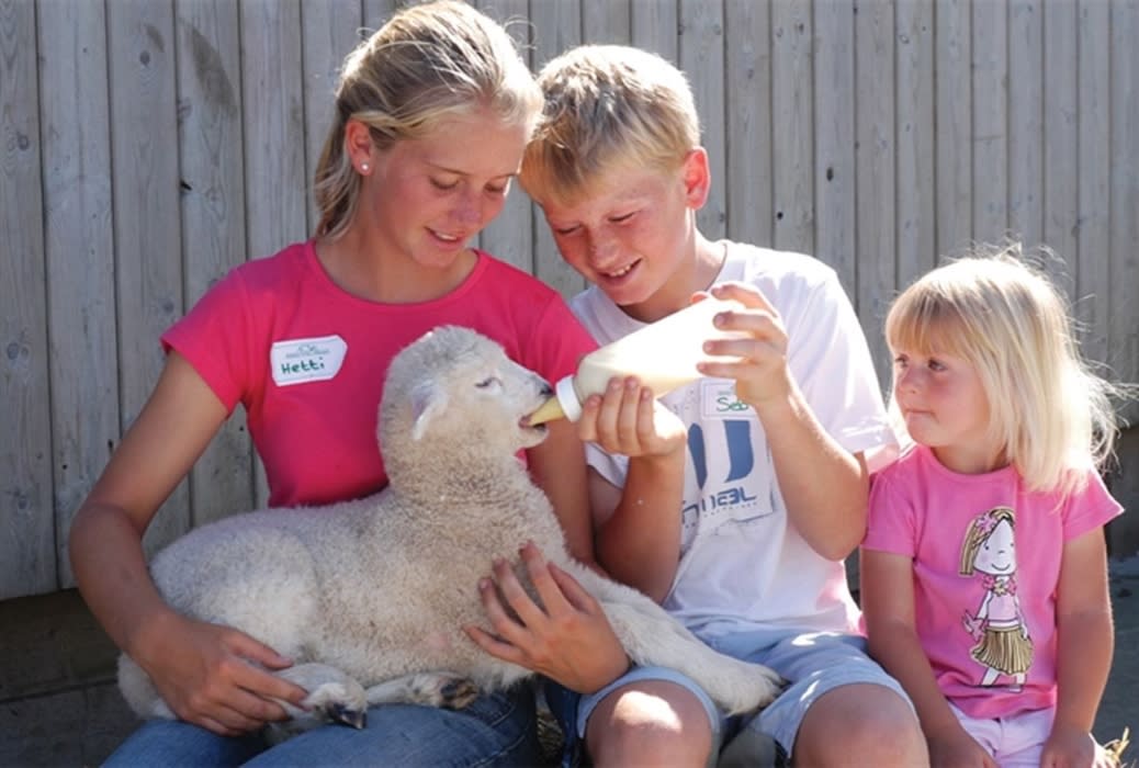 EGG-STRAVAGANZA at Pennywell Farm - Visit Devon