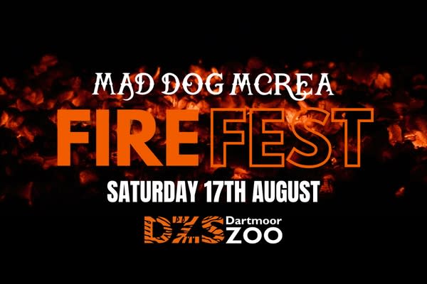 Fire Fest - Visit Devon