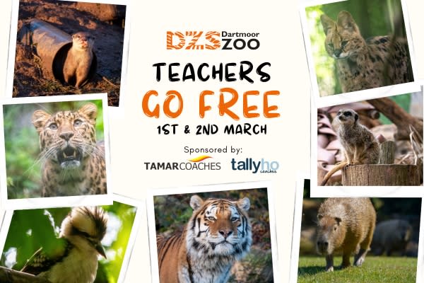 Teachers Go FREE - Visit Devon
