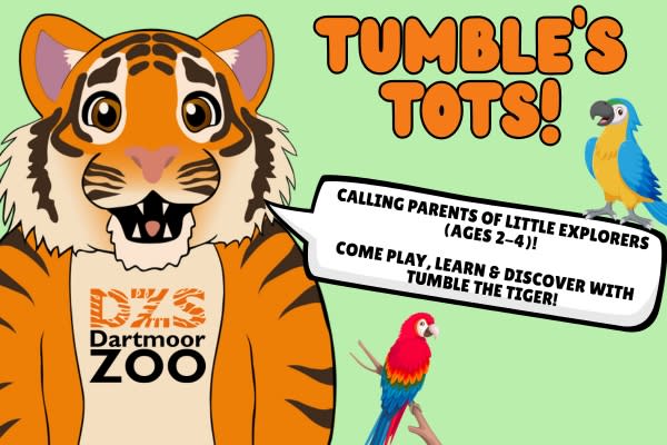 Tumble's Toddlers - Visit Devon