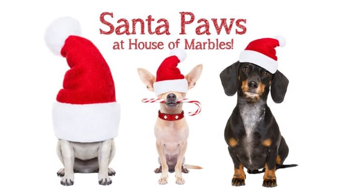 Santa Paws at House of Marbles - Visit Devon