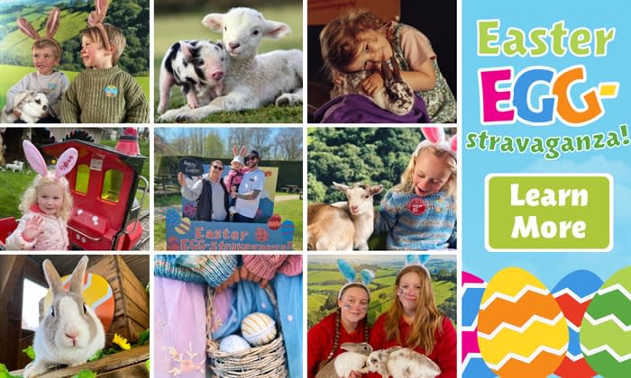 Easter Holiday Fun at Pennywell Farm! - Visit Devon