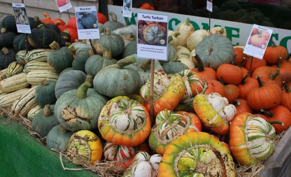 Washingpool Farm Shop - Visit Dorset