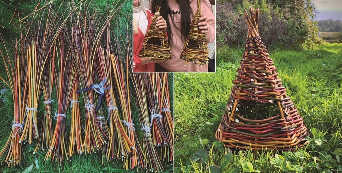 Willow Bird House Workshop - Visit Devon