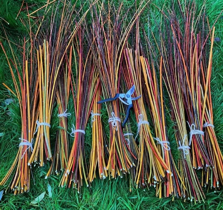 Willow basket weaving workshop - Visit Devon