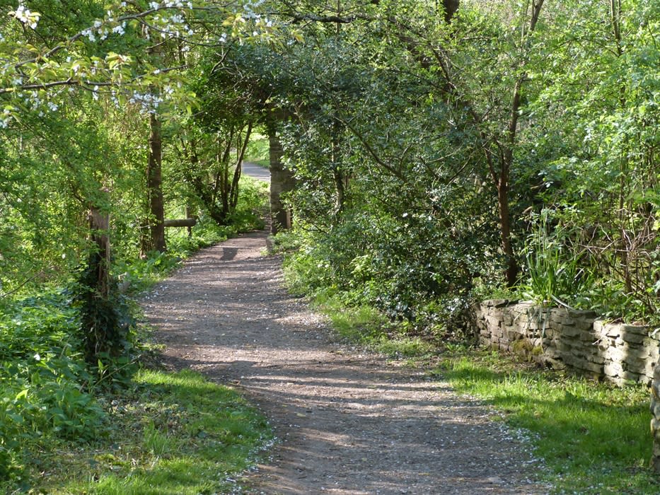Willsbridge Valley Nature Reserve