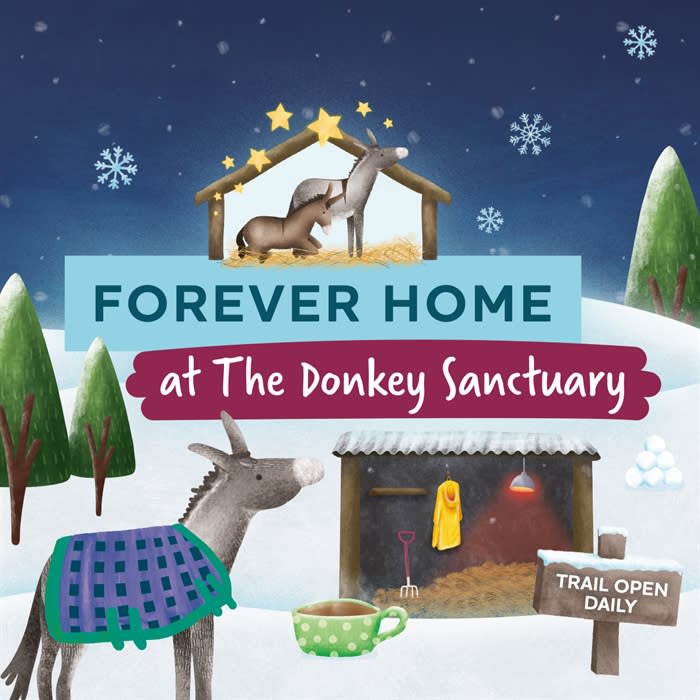 A Forever Home Winter Trail - Visit Devon