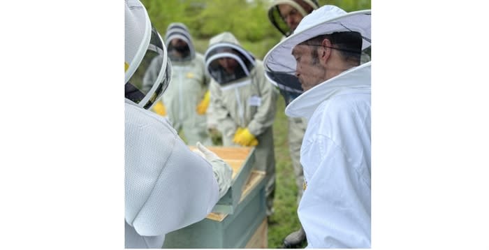 Beekeeping Courses - Cotswolds