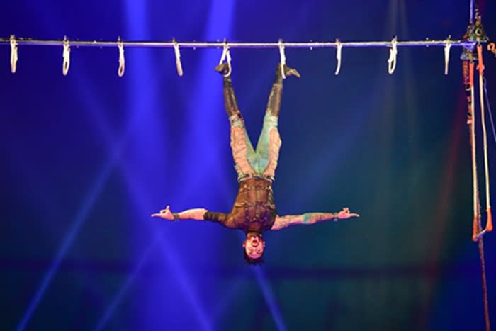 Circus Extreme - Visit Devon