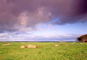 Kingston Russell Stone Circle - Visit Dorset