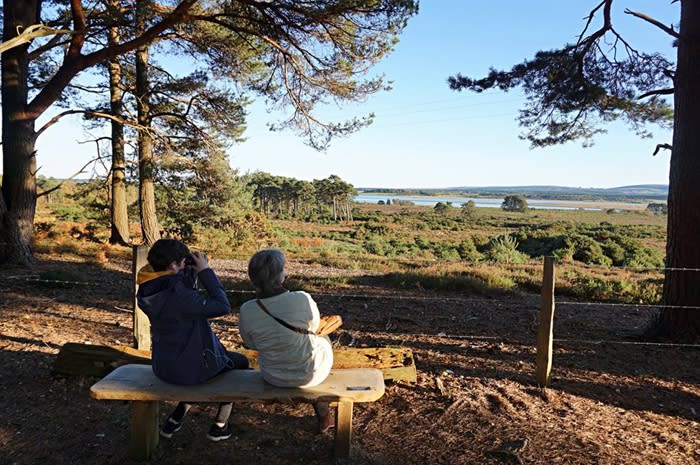 RSPB Arne Nature Reserve - Visit Dorset