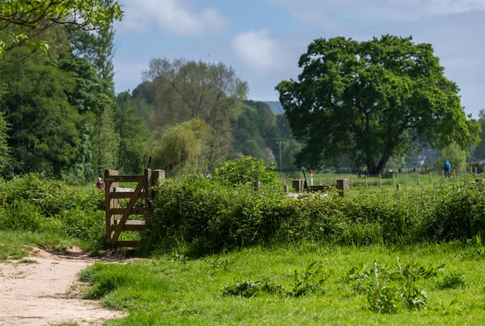 White Cross and East Devon circular walk