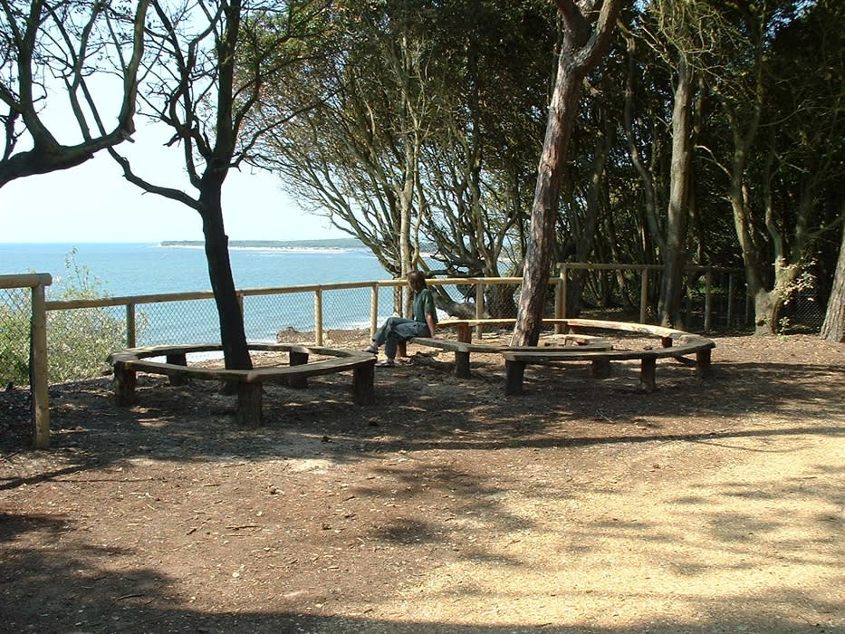 Steamer Point Nature Reserve - Visit Dorset