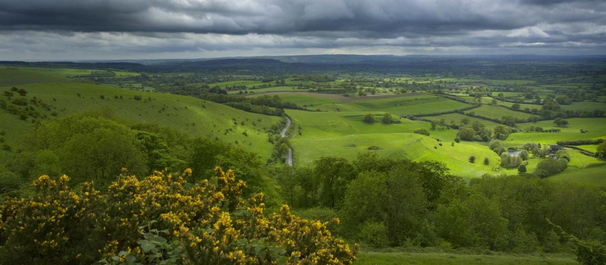 Fontmell and Melbury Downs - Visit Dorset