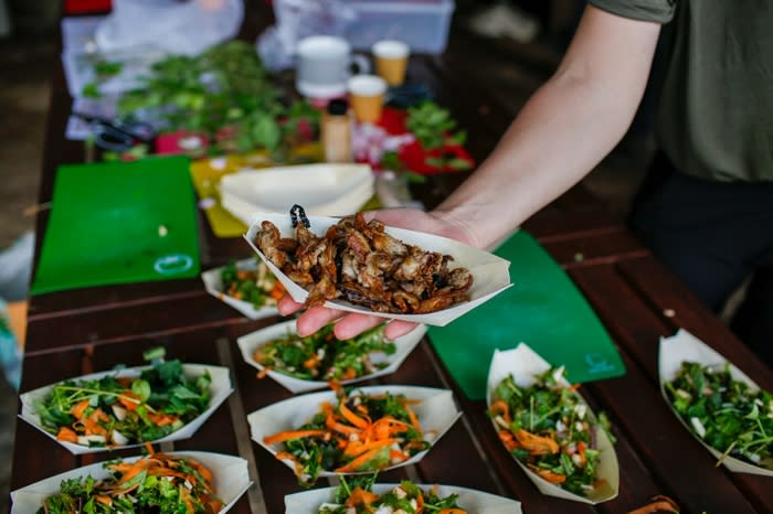 Forage and Cook - Visit Devon